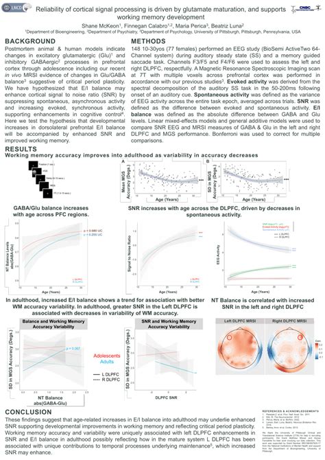Pdf Reliability Of Cortical Signal Processing Is Driven By Glutamate Maturation And Supports