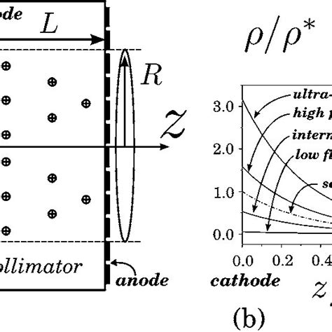 A Detector Setup With Uniform X Ray Irradiation And Circular Collimator Download Scientific