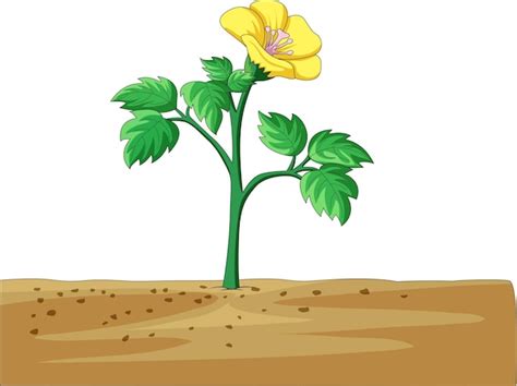 Premium Vector Flower Growing In The Soil Vector Illustration
