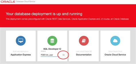 Oracle Sql Developer Now In Web