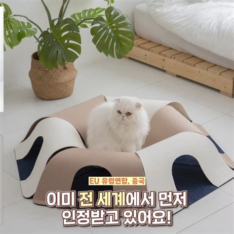 전세계 최초💎삼각디자인 모듈형 캣터널ㆍ ㆍ 50가지가 넘는 연결조합으로 우리냥이도 집사도 매일매일이 새로워 ️전세계 최초 삼각캣터널 ️수많은 연결조합 연출 ️