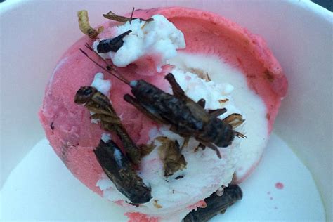 Bug In Ice Cream
