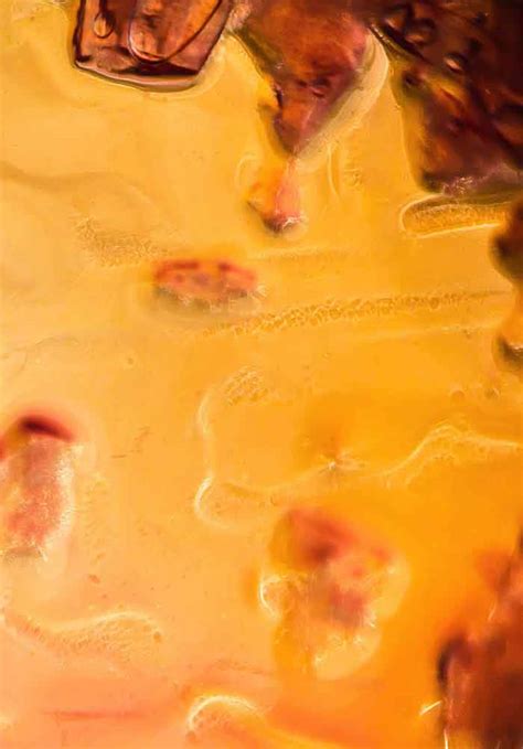 Introductory Chapter Immunogenetics Intechopen