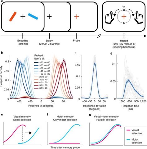 Concurrent Visual And Motor Selection During Visual Working Memory Guided Action Rneuroscience