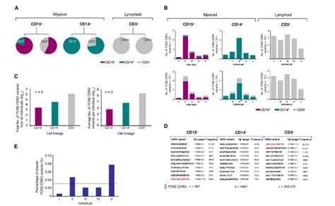 Tcrβ Repertoire Transcriptomes Of Neutrophils Monocytes And T Cells Download Scientific