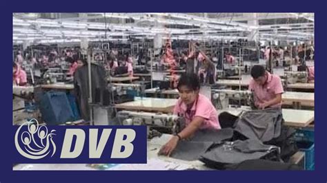 မဲဆောက်က မြန်မာအလုပ်သမားတွေ တနေ့ ၃၀၀ ဘတ်ကို ပြည့်မှီအောင် မခံစားရ Dvb News Youtube