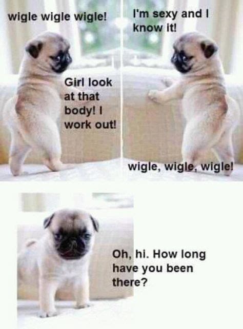 Pin Von Megan Fuss Auf To Cute To Handle Niedliche Comics Katze