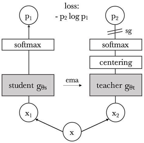 Self Supervised Learning And Transformers — Dino Paper Explained Towards Ai