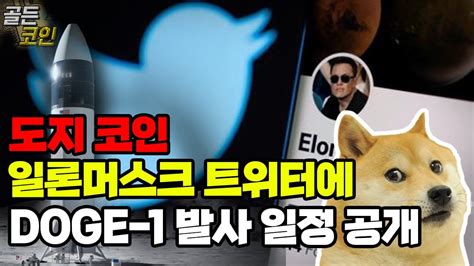 도지코인 일론머스크의 도지코인 트위터에 도지 1 발사 일정 공개했다 도지 도지코인 일론머스크 Youtube
