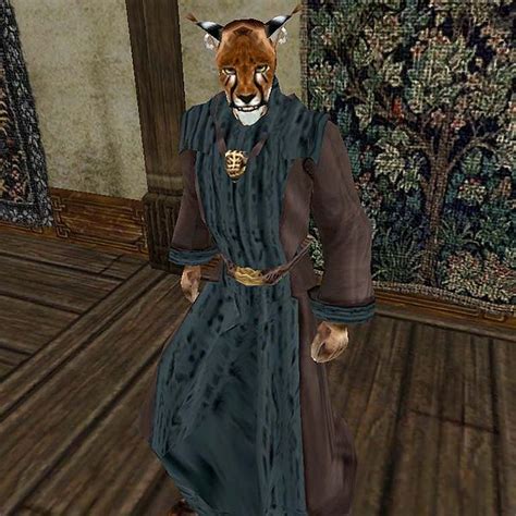 Zadanieahnassi Specjalny Przyjaciel The Elder Scrolls Wiki Fandom