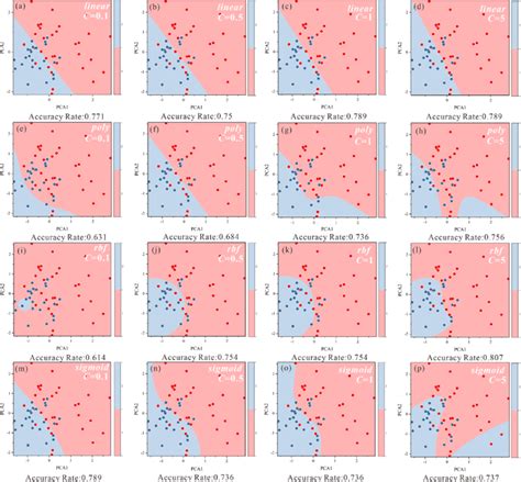 svm classification model training and prediction results with different