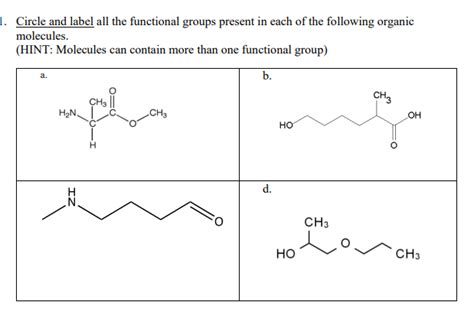 Solved Circle And Label All The Functional Groups Present In Chegg