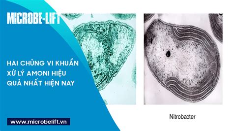 Những Phương Pháp đo Cod Trong Nước Thải