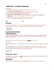 DNA PCR Prelab Template F Docx BS DNA Part Prelab Notebook