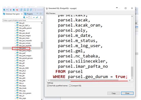 Roles Script Of View With Dll Script In Postgresql Database · Issue