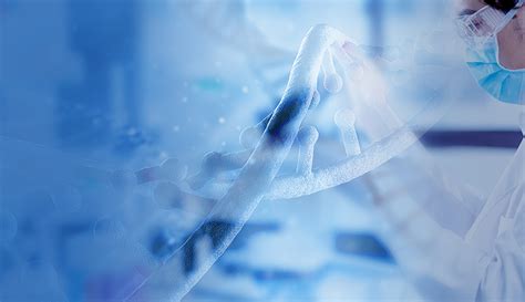 南京申诺青生物科技有限公司 纳米材料 磁性纳米材料 金纳米材料 二维纳米材料 化学发光磁珠 羧基磁珠 宠物肿瘤早筛