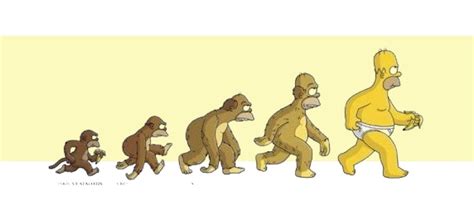 Evolutionary Decision Trees When Machine Learning Draws Its