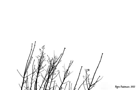 Minimalism Photograph By Roger Passman Fine Art America