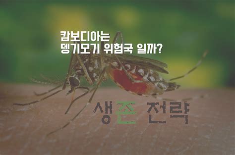여행 상식 캄보디아는 뎅기모기 위험국 통계로 살펴보자