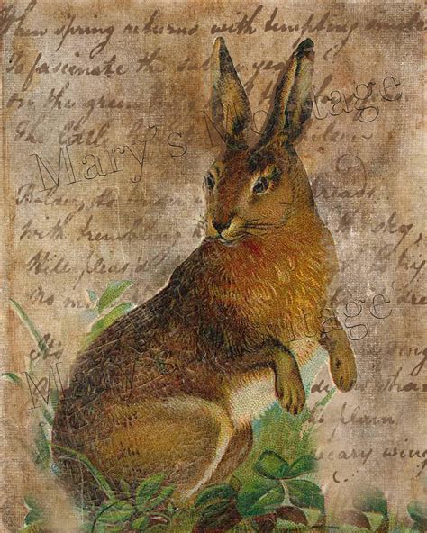 Set Of 6 Vintage Rabbit Digital Download Prints 8x10 Etsy