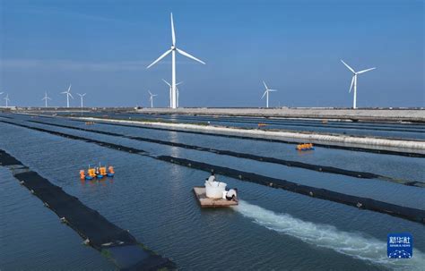 河北樂亭特色海産養殖促增收 新華網