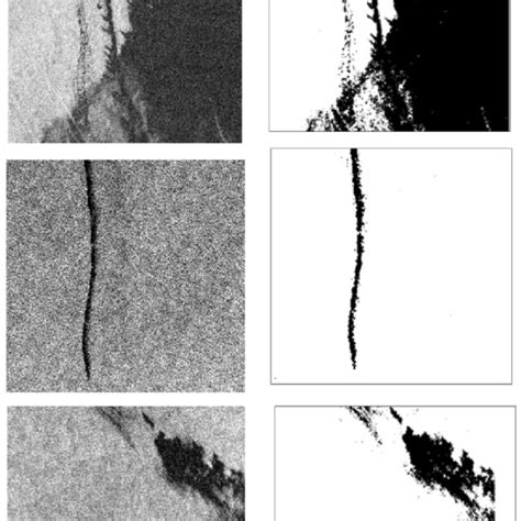 Selected Samples Eg Oil Spill Dataset A Input Sar Image And B Dam Unet Download Scientific