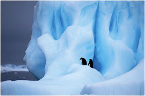 Mind Sex With Strangers HuffPost Life