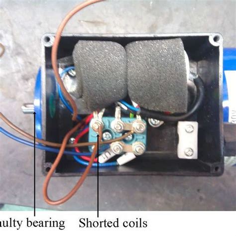Pdf Early Fault Diagnosis Of Bearing And Stator Faults Of The Single