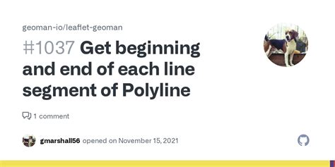 Get Beginning And End Of Each Line Segment Of Polyline · Issue 1037