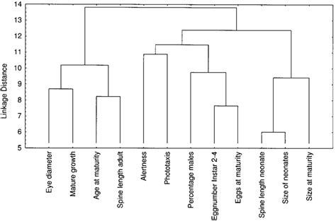 Results Of A Cluster Analysis Complete Linkage Euclidian Distances