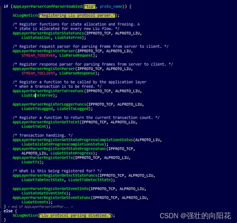 Suricata 开源工具学习 自定义协议开发suricata 开始使用rust协议解析的版本 Csdn博客 Suricata 开源工具学习 自定义协议开发suricata 开始使用rust协议解析的版本 Csdn博客