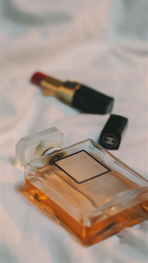 검은 뚜껑이 있는 투명 유리병 사진 Unsplash의 무료 파리 이미지