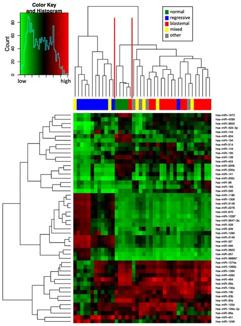 Ijms Free Full Text Combining Mirna And Mrna Expression Profiles In Wilms Tumor Subtypes