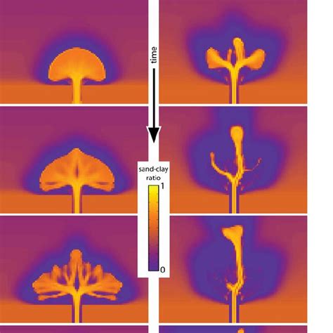 Lithologic Cross Sections Of The Simulated Delta Deposits In The