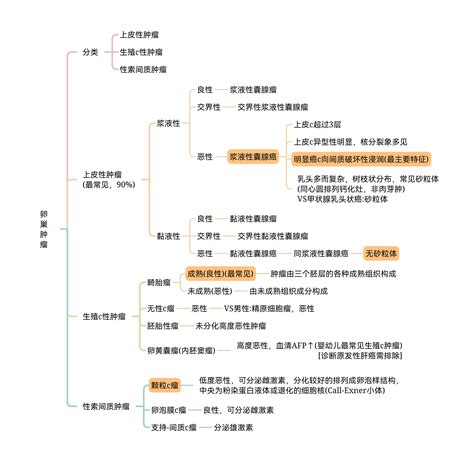 思维导图病理学第十二章 生殖系统及甲乳疾病 存档 哔哩哔哩