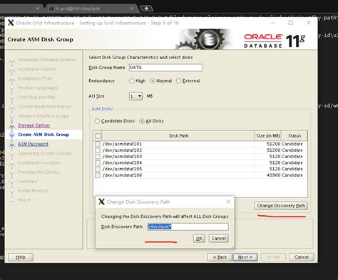 oracle 11g搭建rac 无法看到共享磁盘 oracle rac找不到硬盘 csdn博客