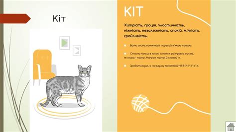 Дидактична гра для учнів 1 класу на тему Картки Сили Презентація Дидактичні матеріали