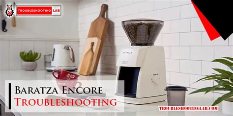 Insinkerator Garbage Disposal Troubleshooting Easy Fixes And Tips