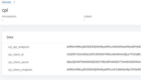 Integration Suite Extension Part 2 Persistence Sap Community