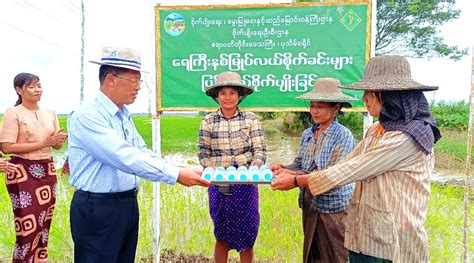 ဧရာဝတီတိုင်းဒေသကြီးအစိုးရအဖွဲ့ ဝန်ကြီးချုပ်သည် ကန်ကြီးထောင့်မြို့နယ်အတ