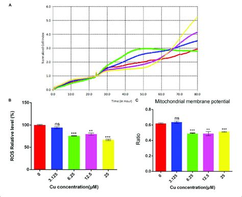 Evaluation Of Functional Mitochondria A Proliferation Assay