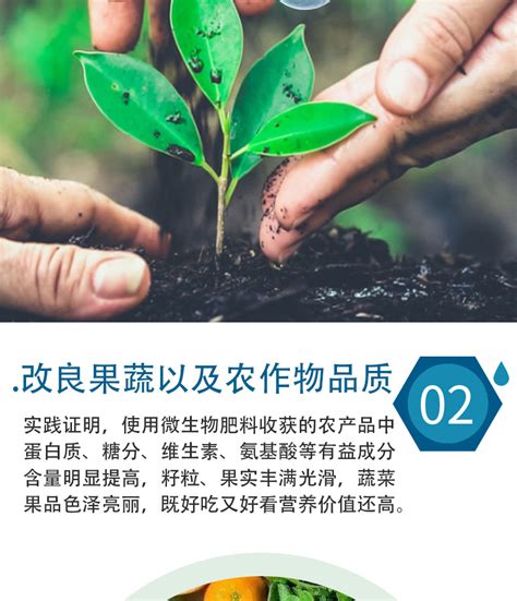 羊粪有机肥腐熟发酵技术不含杂质富含氮磷钾发酵羊粪纯羊粪有机肥 阿里巴巴