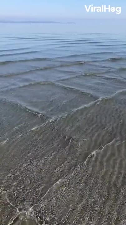 Video Ashish Pandey Posted On Linkedin