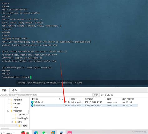 Docker基本操作 挂载数据卷