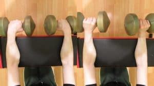Reverse Wrist Curls With Dumbbells For Your Forearms