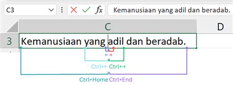 Cara Entri Data Di Excel Excelandor