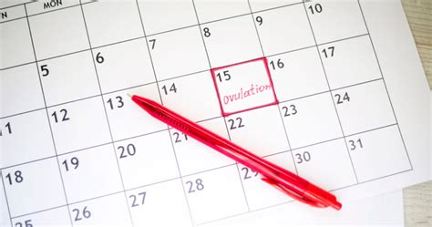 Tips For Tracking Ovulation Seattle Sperm Bank