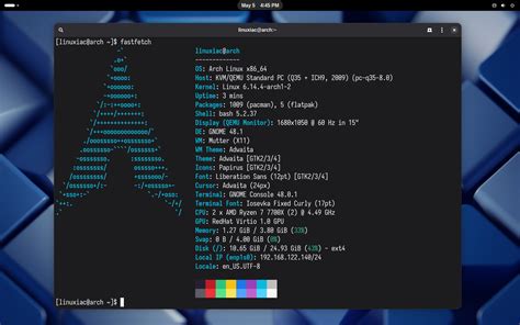 Fastfetch 242 System Information Tool Fixes Virtual Disk Bugs