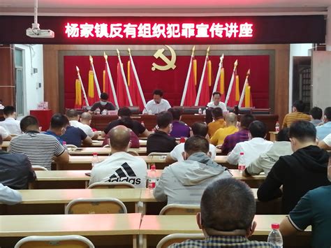 杨家镇组织开展《反有组织犯罪法》学习活动