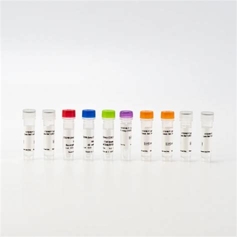 Htrf Human And Mouse Total Cdk5 Detection Kit 500 Assay Points Revvity